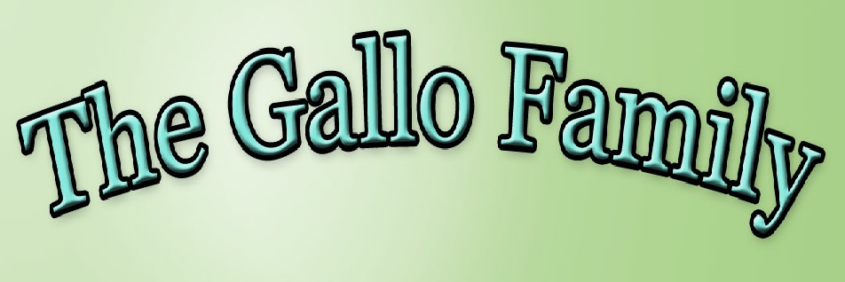 Home [gallofamily.info]